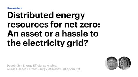 Distributed Energy Resources For Net Zero An Asset Or A Hassle To The Electricity Grid