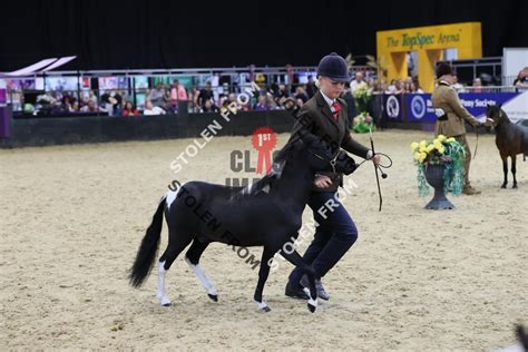 Ch5 3204 2023 1st Class Images