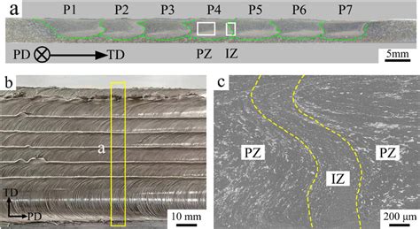 A Cross Section Macrostructure Of Mg Gd Y Zn Zr Alloy Plate Following Download Scientific