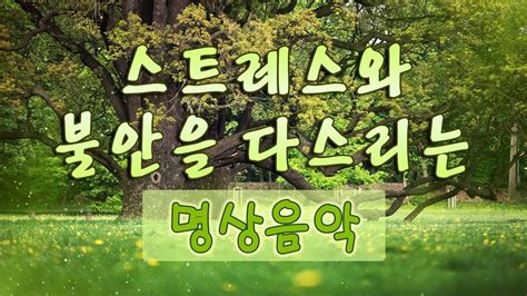 힐링트리뮤직 우와 진짜 놀랍다 하루10분 만병을 치료 해주는 힐링 명상 기치료 음악 및 영상 명상음악 스트레스 해소 음악 긴장이완음악 편안한 음악 치유음악