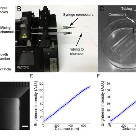 The Microfluidic Assay A The Design Of The Chamber The Two Download Scientific Diagram