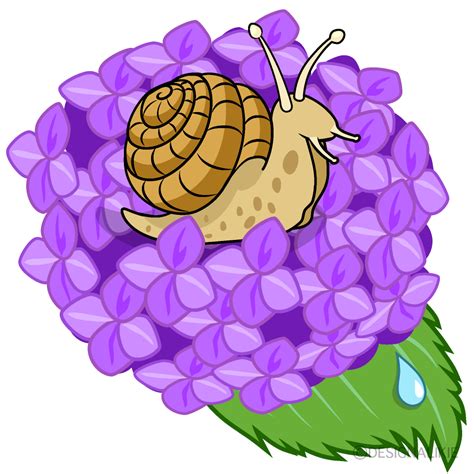 紫陽花のカタツムリイラストのフリー素材｜イラストイメージ