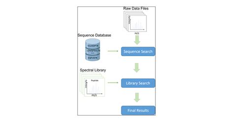 A Hybrid Spectral Library And Protein Sequence Database Search Strategy For Bottom Up And Top
