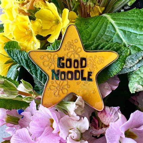 Good Noodle Star Le 60 Adorapins