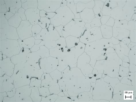 Austenitic Grain Structure With δ Ferrite Valleys At Grain Boundaries