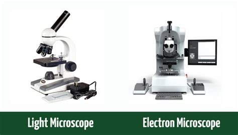 Light Vs Electron Microscope Whats The Difference With Pictures Optics Mag