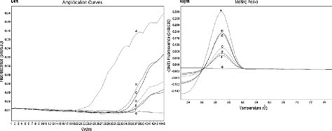 Amplification Plot Of Fluorescence Y Axis Vs Cycle Numbers X Axis Download Scientific