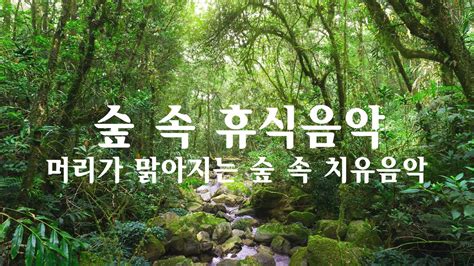 마음이 편안해지는 음악 🌼 짙은 초록빛 가득한 곳에서🌲 자연을 만끽하며 듣는 피아노 연주곡 Youtube