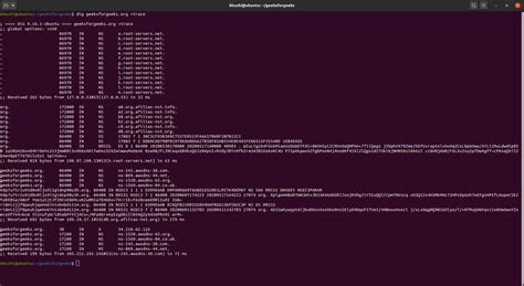 Dig Command In Linux With Examples Geeksforgeeks