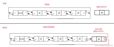 数据结构 手撕图解双向循环链表 阿里云开发者社区