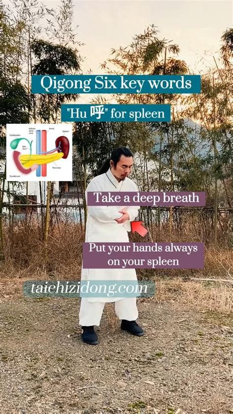 Specific Exercise Improve Symptoms Daily Fully Body Exercise Remove Root Causes Video In