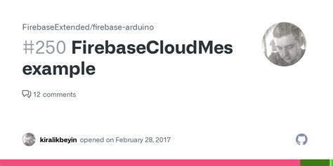 Firebasecloudmessaging Example Issue Firebaseextended Firebase
