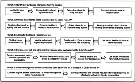 an overview of the literature review and delphi processes download