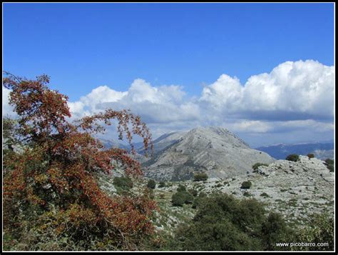 Pico Sierra De Los Pinos Sierra De Líbar P N Sierra De Grazalema