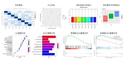 用公共数据发文章 R语言与生信系列课程第四期—rna Seq数据处理及可视化—已上线 哔哩哔哩