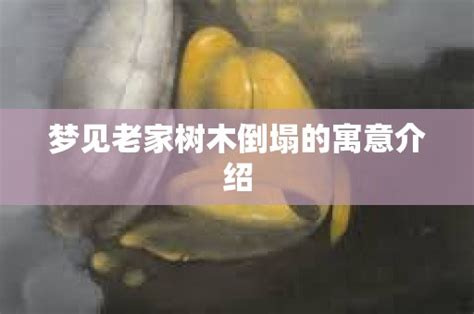 梦见老家树木倒塌的寓意 命理解梦