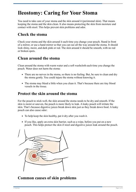 Ileostomy Care Ileostomy Care Maher A Abbas Md Proctologist