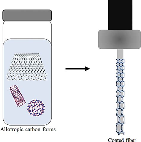 Schematic Representation Of Spme Fibers Coated With Different Download Scientific Diagram