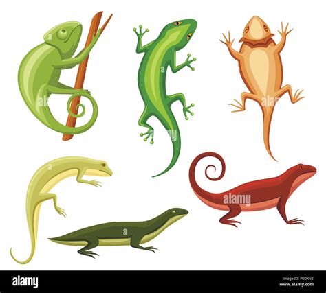 Cartoon Lizards
