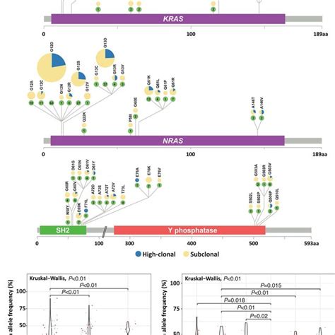 Preservation Of Clonal And Subclonal Mutations At The Time Of Relapse Download Scientific