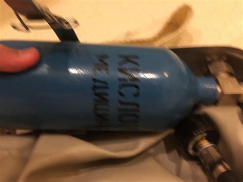 Trunk Rot Rcitrus Trunk Rot Rcitrus