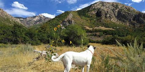 Ogden 27th Street Trail Utawesome