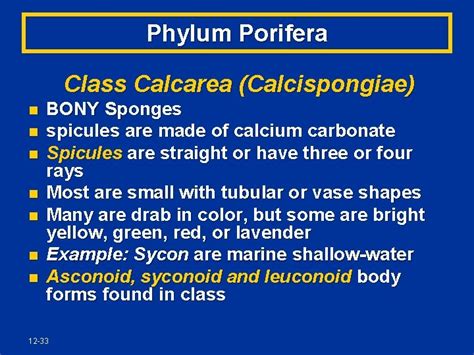 Dr Arnab Ganguli Phylum Porifera Sponges 12 1