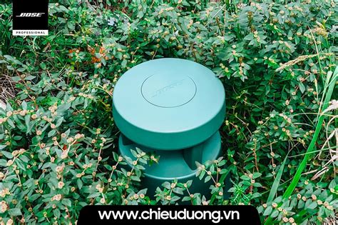 Loa Bose Freespace 360p Ii Chiêu Dương Tech