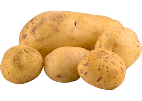 감자 야채 유기농 벡터 감자 포테이토 음식 Png 일러스트 및 이미지 에 대한 무료 다운로드 Pngtree