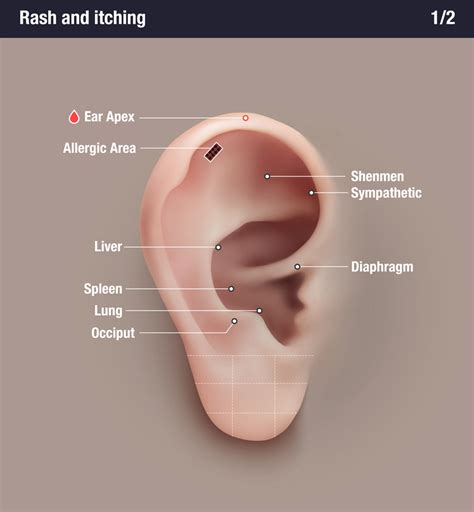 Auricular Medicine By Dr Li Chun Huang Treatment Master Tungs