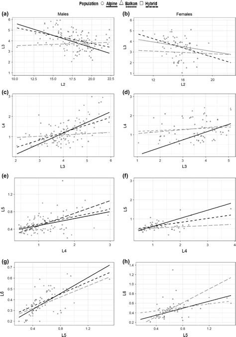 The Relationship Between Subsequent Segments For Males A C E G And Download Scientific