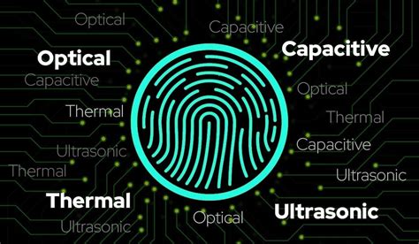 How Biometric Sensor Works At Maple Kimmel Blog