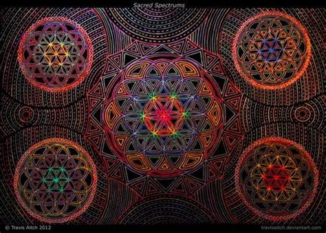 17 Best Images About Sacred Geometry On Pinterest Platonic Solid Of Life And Nature