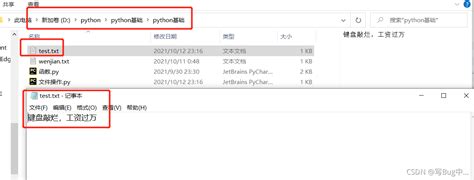 Python之文件操作（open与withopenas）python Open As Csdn博客