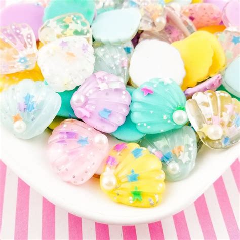 Assorted Seashells Etsy Assorted Seashells Etsy