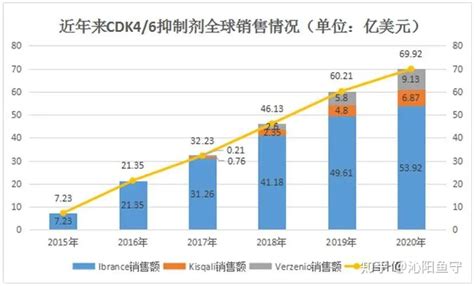 2022 2028中国乳腺癌CDK4 6抑制剂市场现状研究分析与发展前景预测报告 知乎