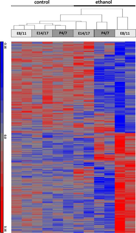 Heat Map Representing Hierarchical Clustering Of Arrays Based On The