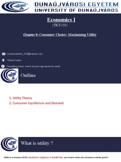 Consumer Choice And Utility Theory Pdf