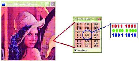 Image Pixels With Its Binary Values Download Scientific Diagram