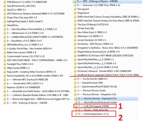 Game Crash With Only 2 Dd Mods Skyrim Technical Support Loverslab