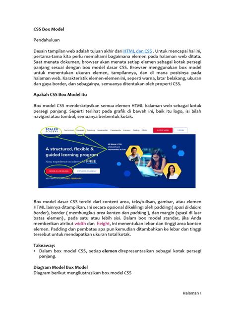 Css Box Model Pdf