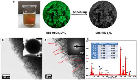 A Schematic Illustration Showing The Synthesis Process Of The 3d Download Scientific Diagram