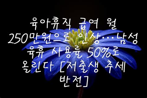 육아휴직 급여 월 250만원으로 인상남성 육휴 사용률 50로 올린다 저출생 추세 반전 잡학다식 뉴스