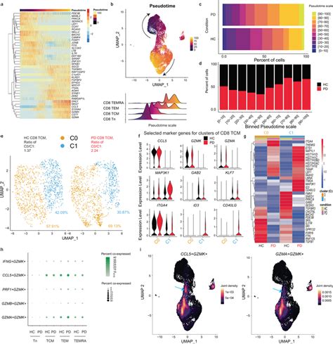Scrna Seq Discloses The Accelerated Cd8 Differentiation Process In