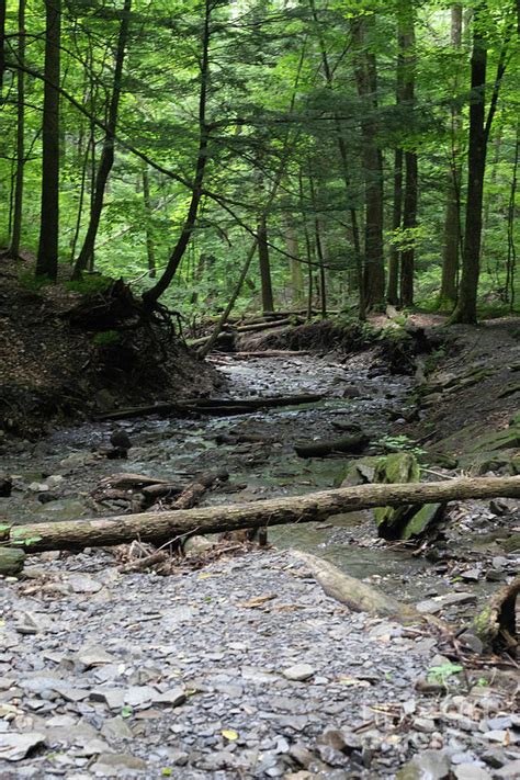 Tinker Falls 17 Photograph By William Norton Pixels