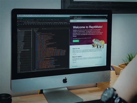 Seo Javascript Diferencia Entre Ssr Y Csr
