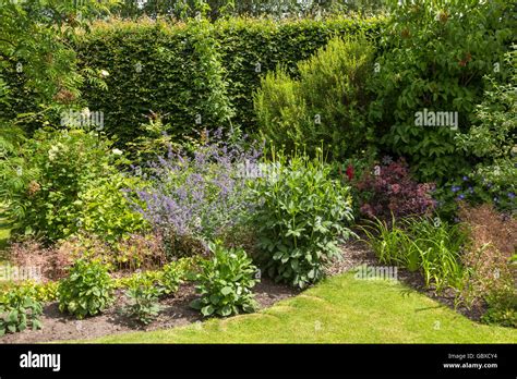 Shrubbery