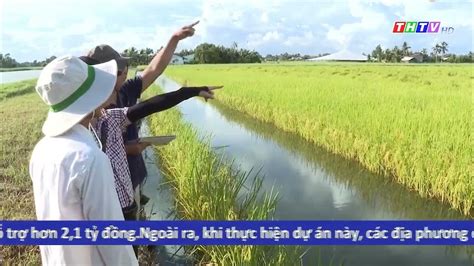 នាទីកសិកម្ម ការផលិតស្រូវសេរីរវាង ស្រុកកំពង់ស្ពាន ខេត្តព្រះត្រពាំង កម្ពុជាក្រោម ។ Youtube