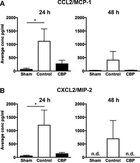 Effect Of A Broad Specificity Chemokine Binding Protein On Brain