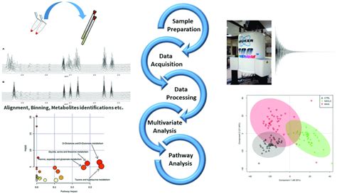 Schematic Workflow Illustrating The Steps Of Nmr Based Metabolomic